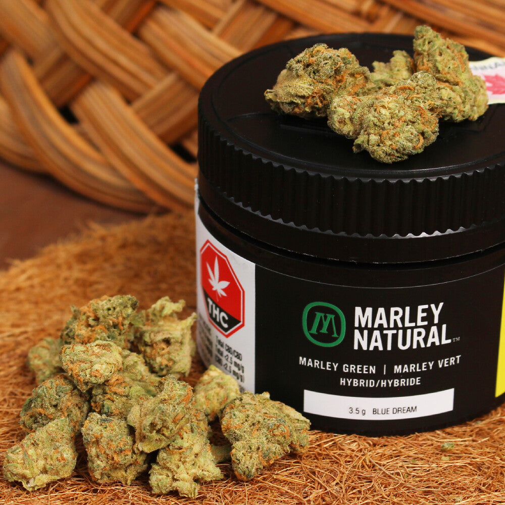 Discovering the Best Hybrid Strains: A Guide to Finding Your Perfect H – BudBundles